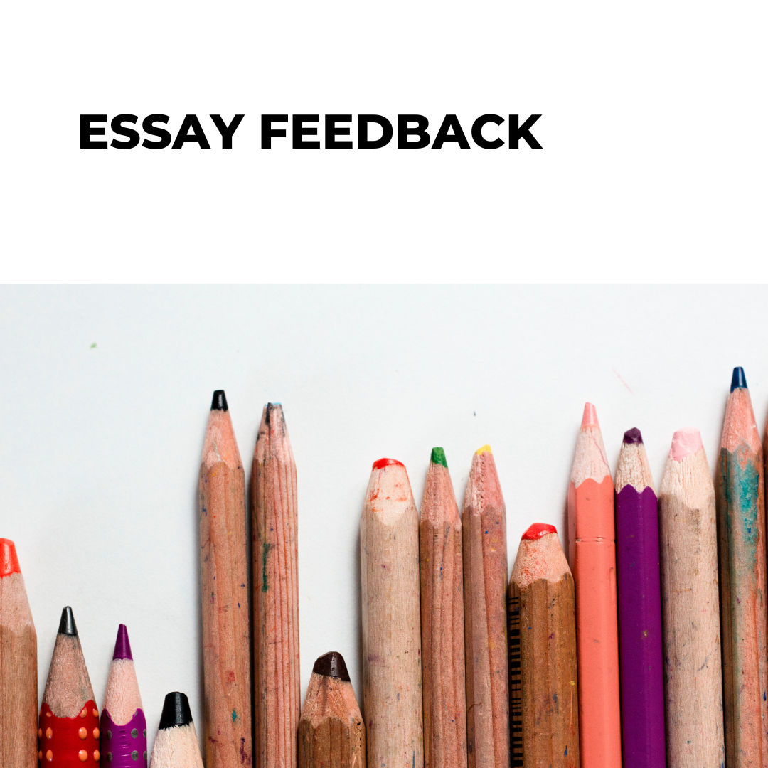D4 Short Essay Feedback – Grapey Minds